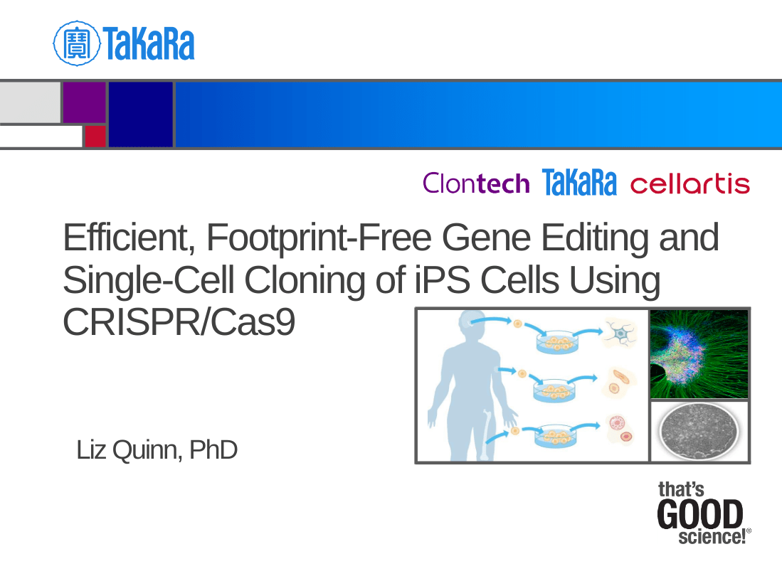 Efficient, Footprint-Free Gene Editing and Single-Cell Cloning of iPS ...