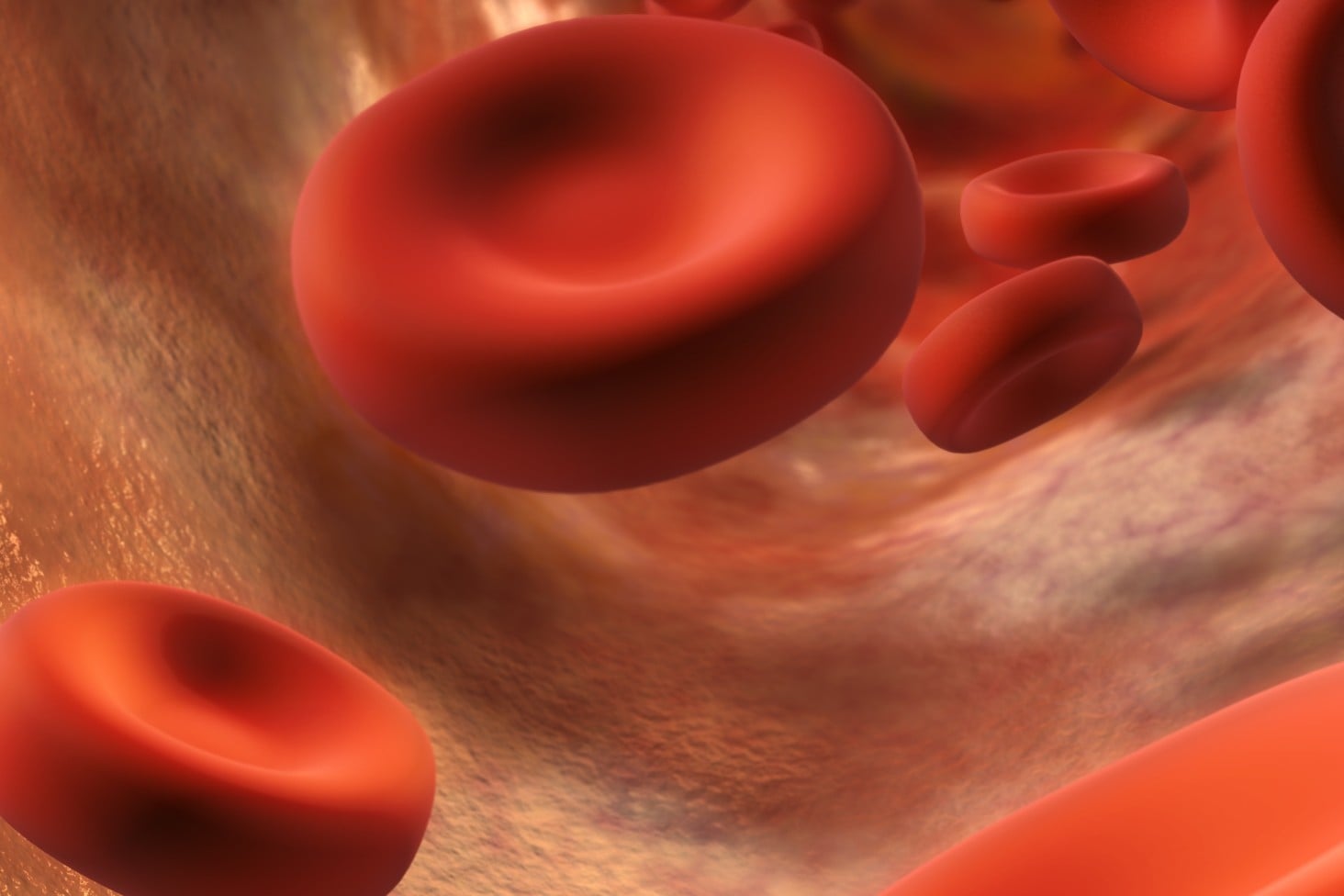 Nerve and blood vessel regeneration using 3D bioprinting technologies ...