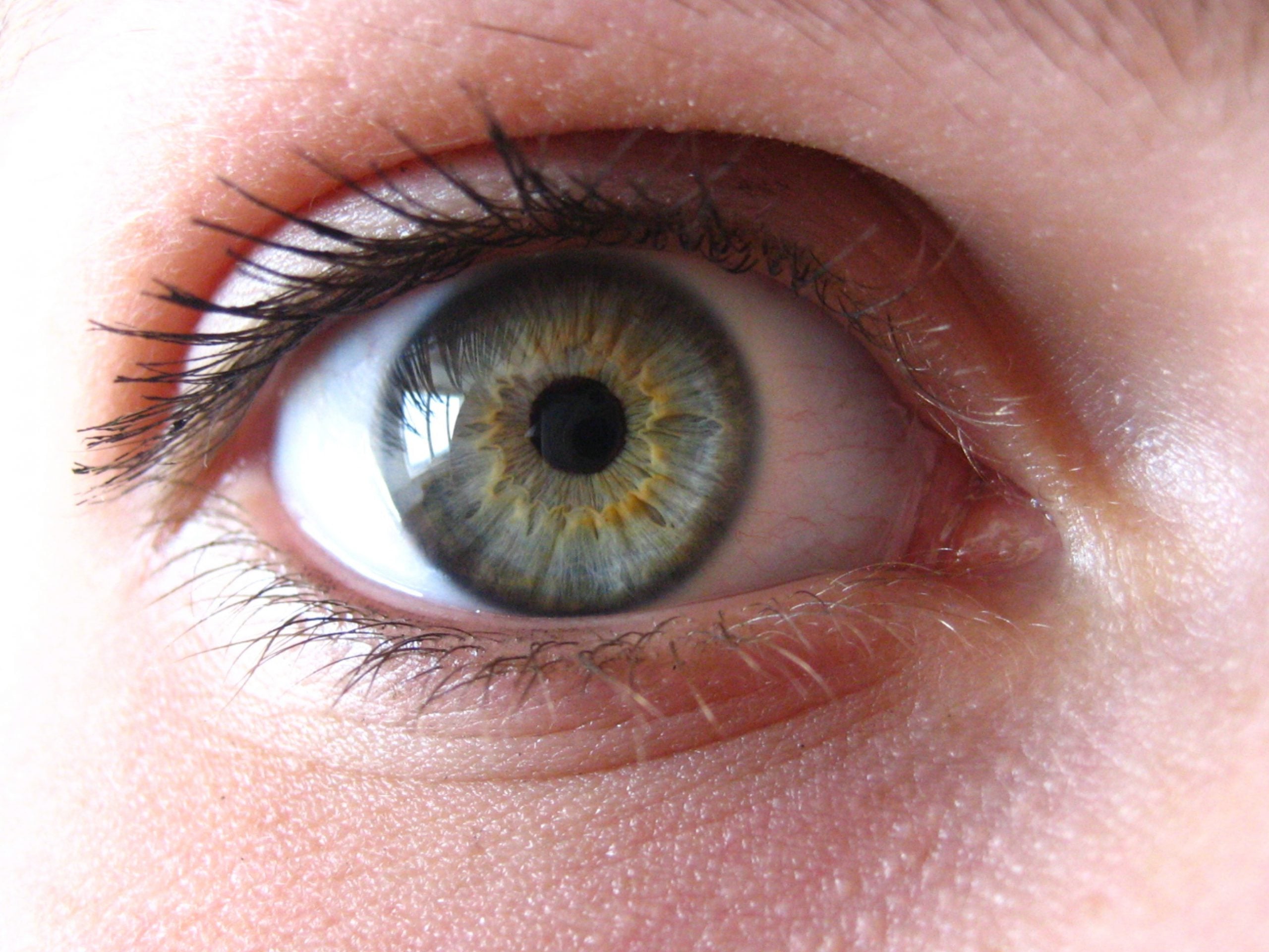 UK patients regain sight after receiving hESC-derived RPE tissue ...