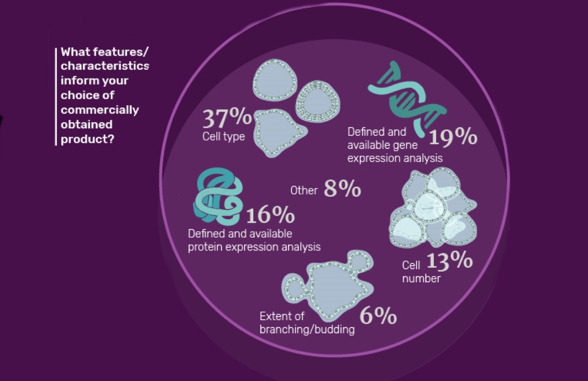 Organoids: technology and challenges around the world - RegMedNet