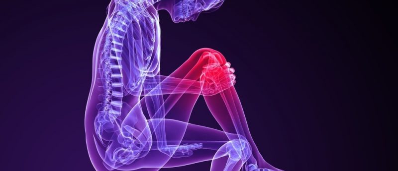 Knee meniscus tissue engineering - RegMedNet