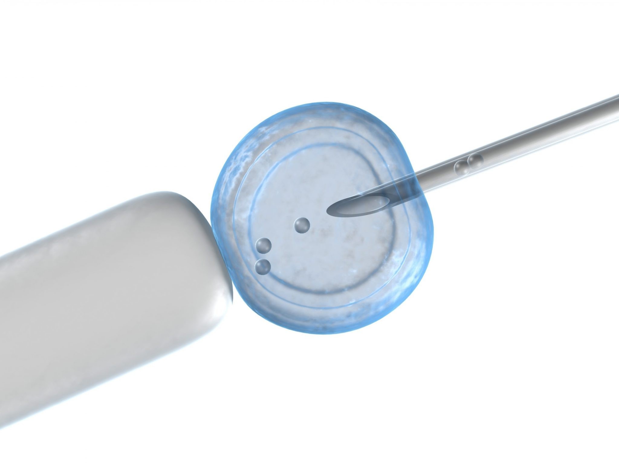 Engineered stem cells proven to be a potential new therapy for ...