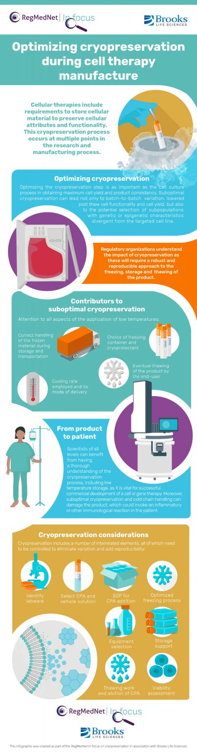 Optimizing cryopreservation during cell therapy manufacture - RegMedNet