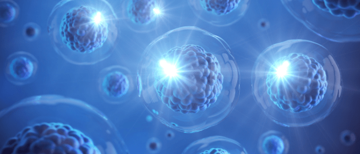 Scalability of CTS LV-MAX Lentiviral Production System in bioreactors ...