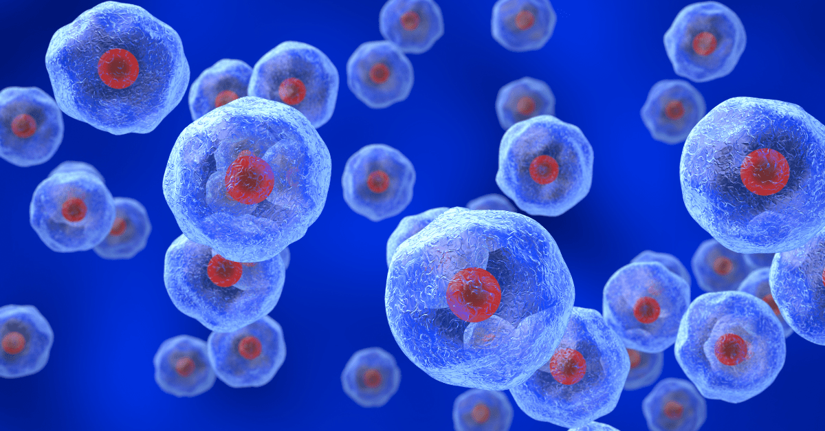 Immortalized versus primary cells: considerations for optimal ...