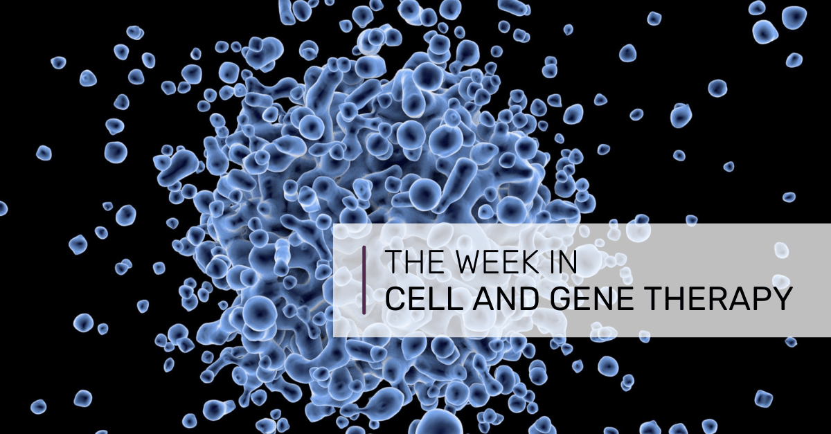 Cell therapy weekly: Kyverna Therapeutics appoints new Senior Vice ...