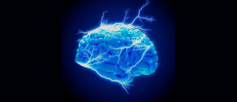 Conductive Hydrogel Scaffolds Support Brain Cell Development - RegMedNet