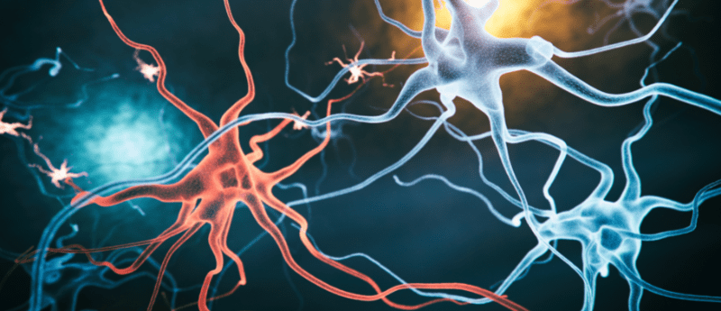 Microglia identified as potential therapeutic target of MSC therapy