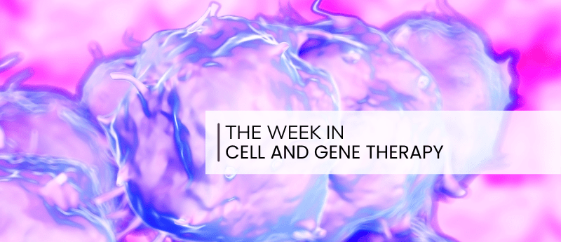 Cell therapy weekly: FDA rejects BrainStorm Cell Therapeutics ALS cell ...