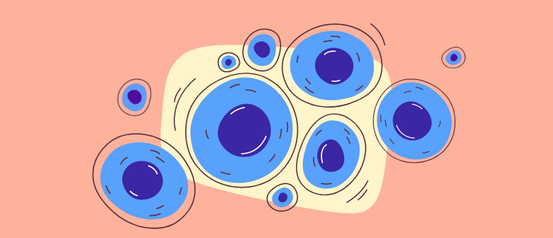 Improving Transplant Outcomes and Cell Therapy Approaches