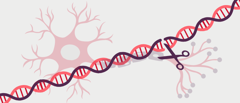 Gene Therapy Shows Promise for Giant Axonal Neuropathy - RegMedNet