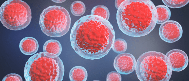Study Reveals Mechanism Behind Stem-Cell Niche Generation - RegMedNet