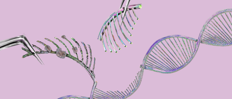 Gene Editing Technology Allow for Efficient Whole Gene Transfer - RegMedNet
