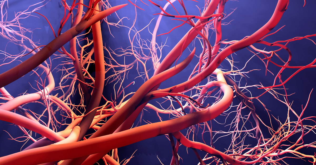 Endothelial cell tube formation assay - RegMedNet