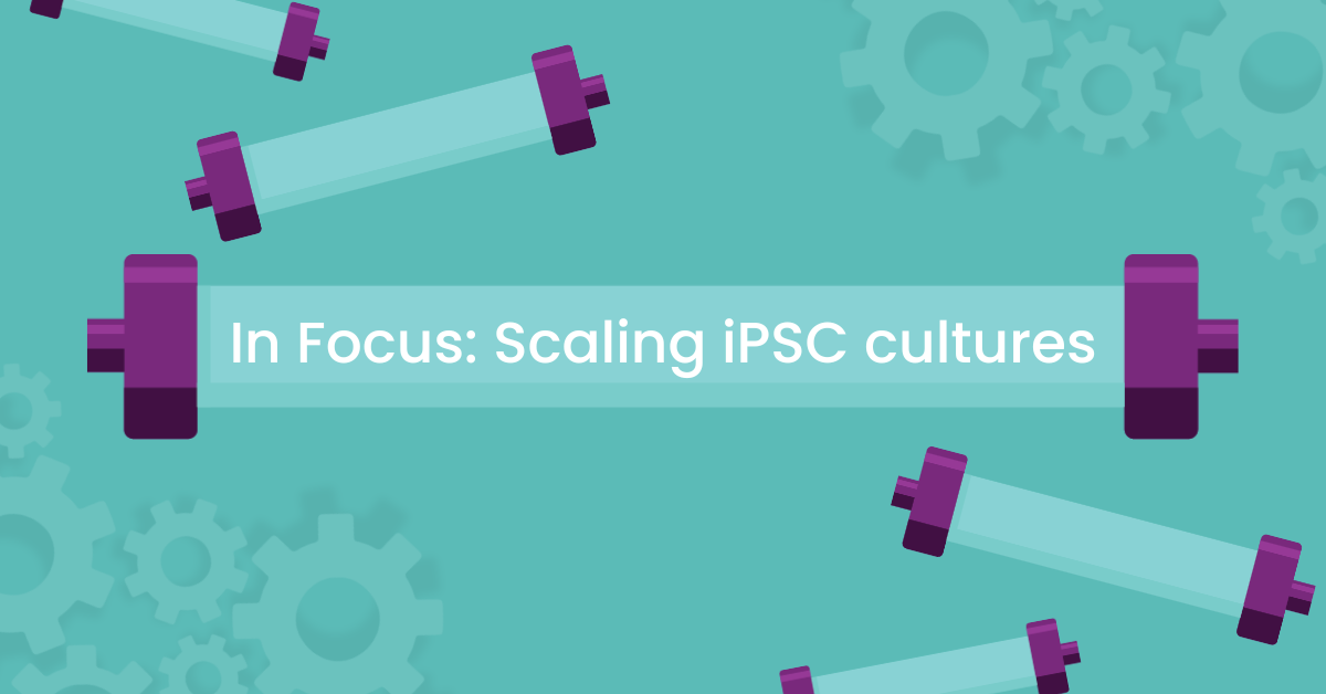 In Focus: Scaling iPSC cultures - RegMedNet