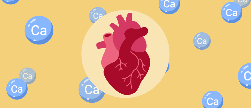 Targeting Calcium Channels to Stimulate Cardiac Regeneration - RegMedNet