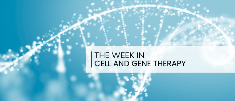 Cell Therapy Weekly: Gene Editing Therapy Receives FDA RMAT - RegMedNet