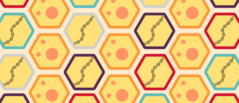 Human iPSC Models: Revolutionizing Gene Therapy Safety Testing - RegMedNet
