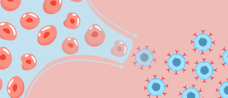 First Reliable Production of Stem-Cell Derived Helper T Cells - RegMedNet