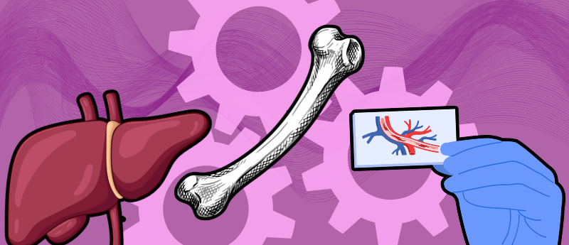 Tissue Engineering: Pioneering Solutions for Real-World Applications ...