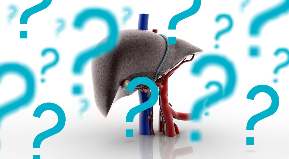 International collaboration produces liver construct using bioprinting ...