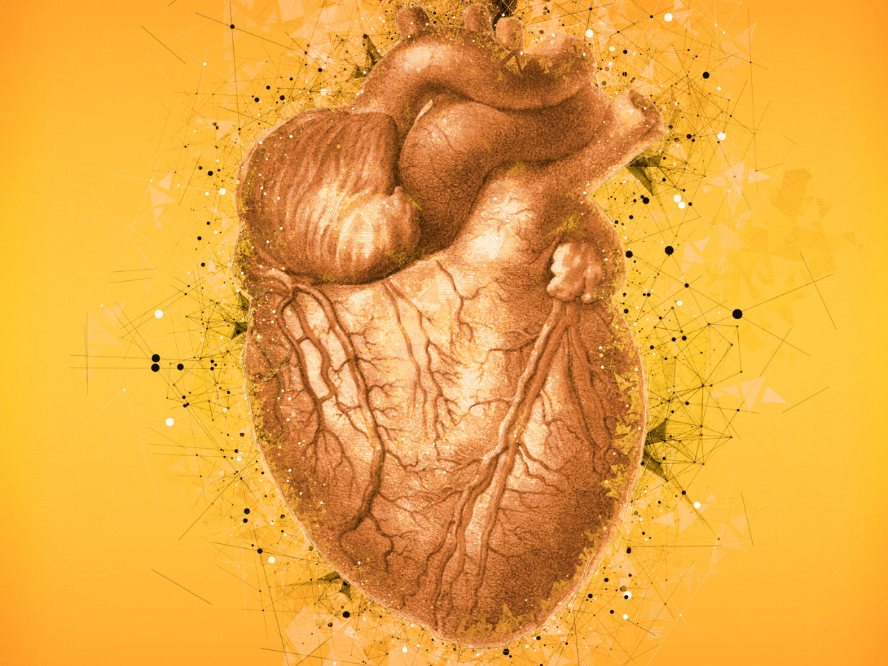 3D-printed regenerative patches for cardiac repair - RegMedNet